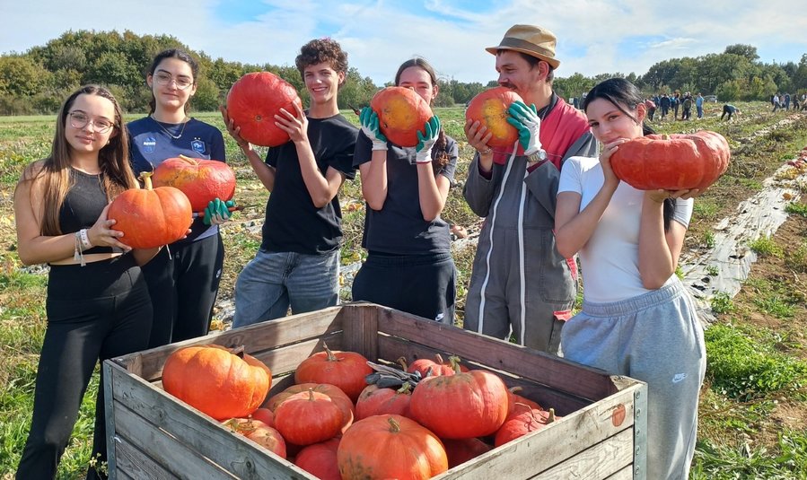 activité de bac pro sapat sur le territoire et à la ferme une belle ...